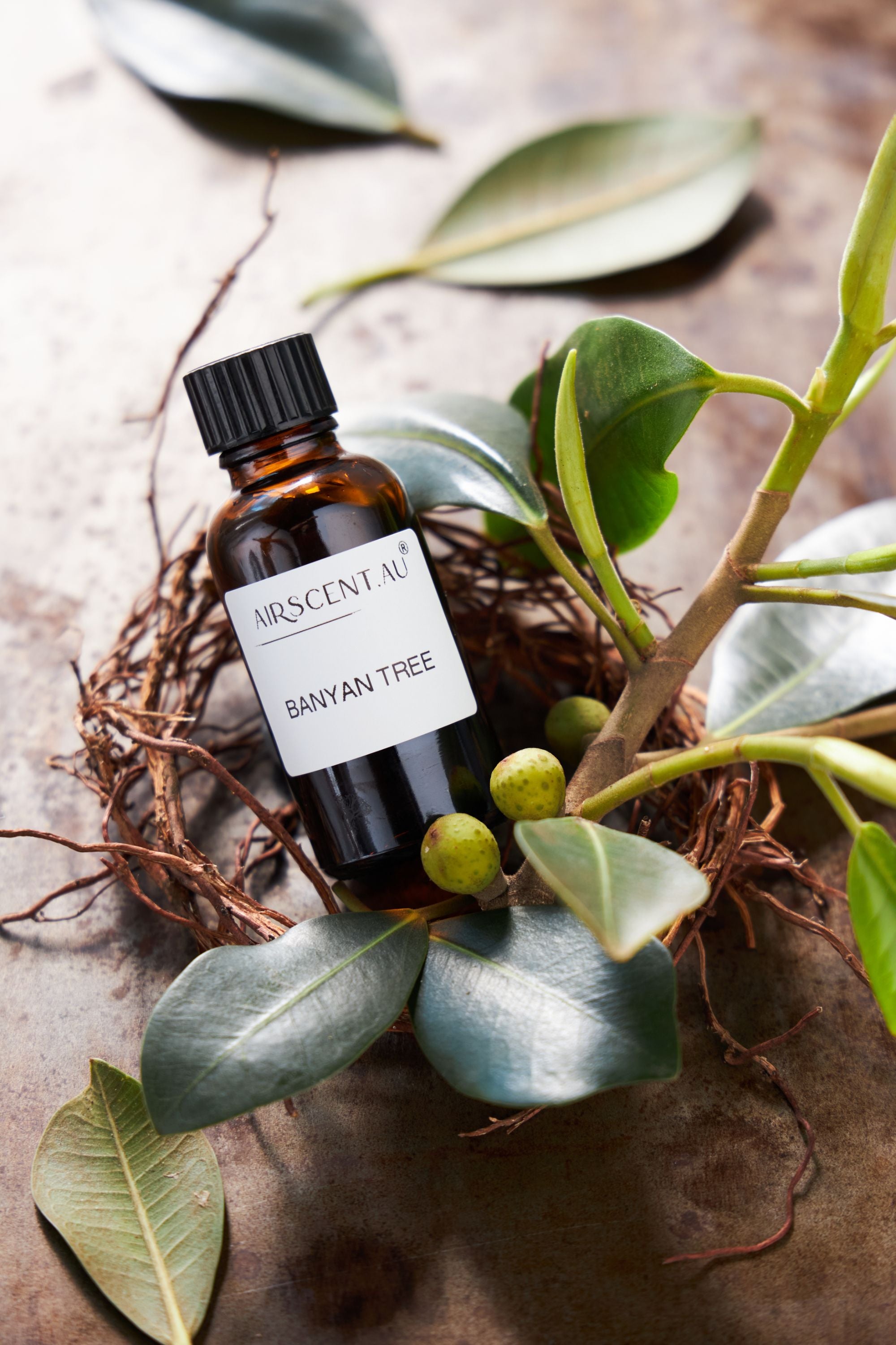 Banyan Tree – Airscent AU